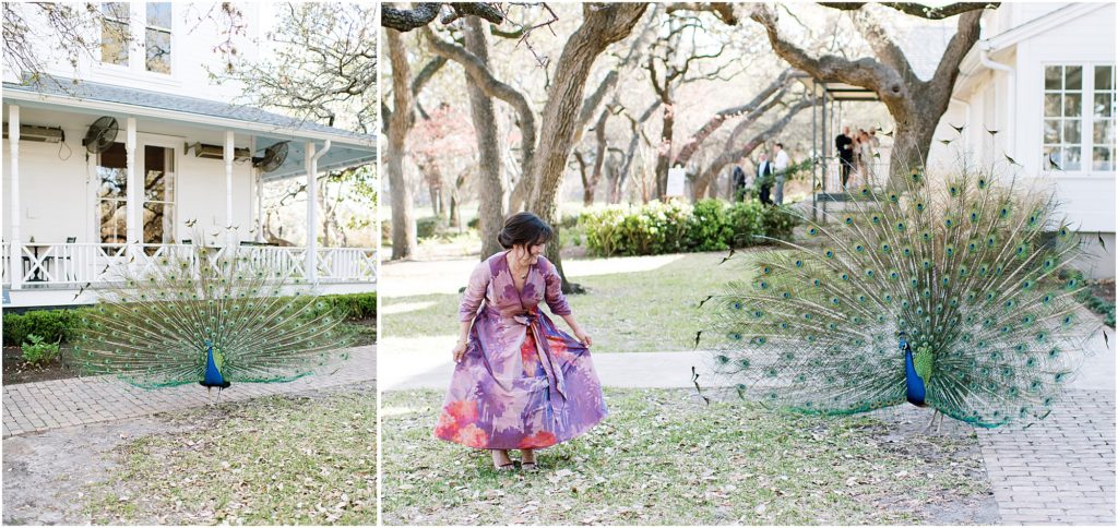 Texas Garden Party Wedding - baileestarrphotography.com